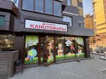 Kantsler (No:10, kvartal Troitskiy, zhiloy massiv Olimpiyskiy), kırtasiyeler  Voronej'den