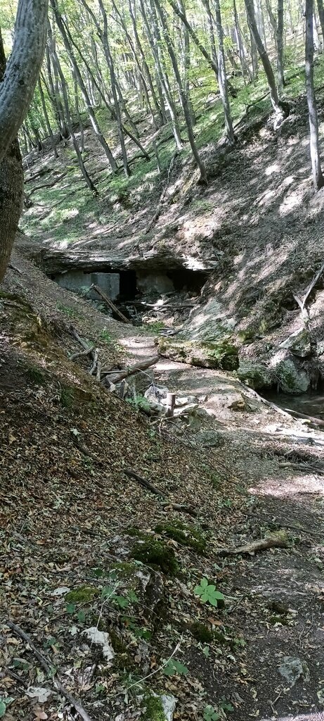 Doğa Пещера, Stavropolski krayı, foto