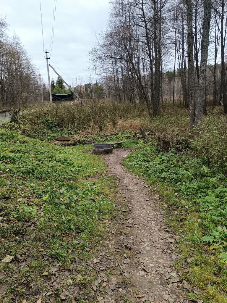 Pınar, çay Spring, stream, İvanovskaya oblastı, foto