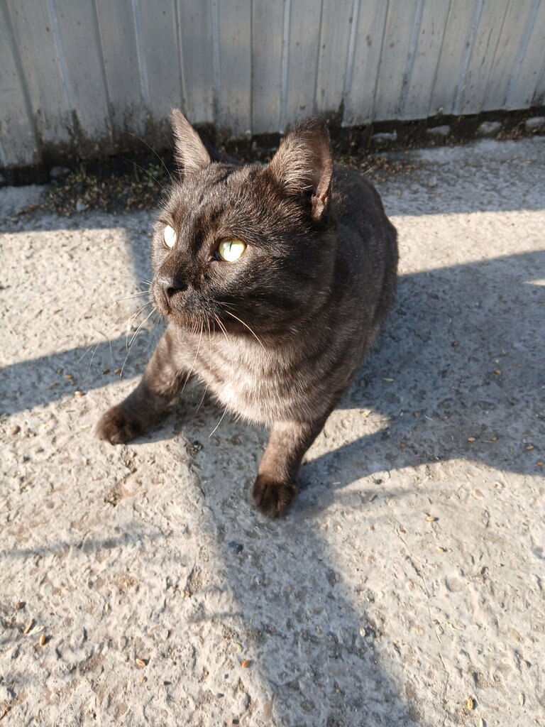 i̇skele причал № 52а, Rostov‑na‑Donu, foto