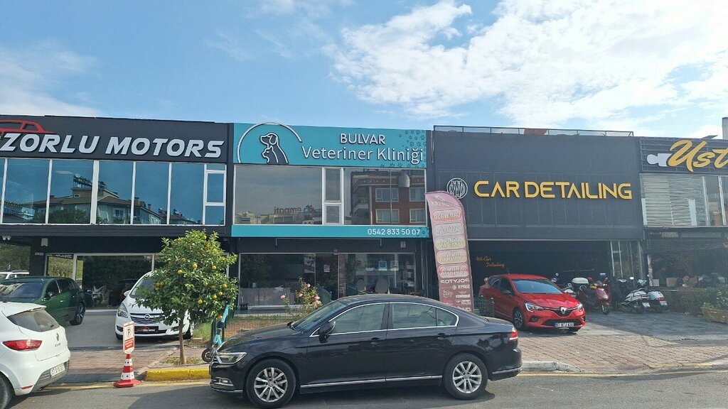 Veteriner klinikleri Bulvar Veteriner Kliniği, Antalya, foto