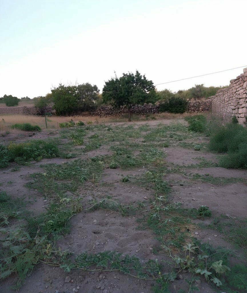 Çok amaçlı spor tesisleri Argıncık Spor Kulübü, Kayseri, foto