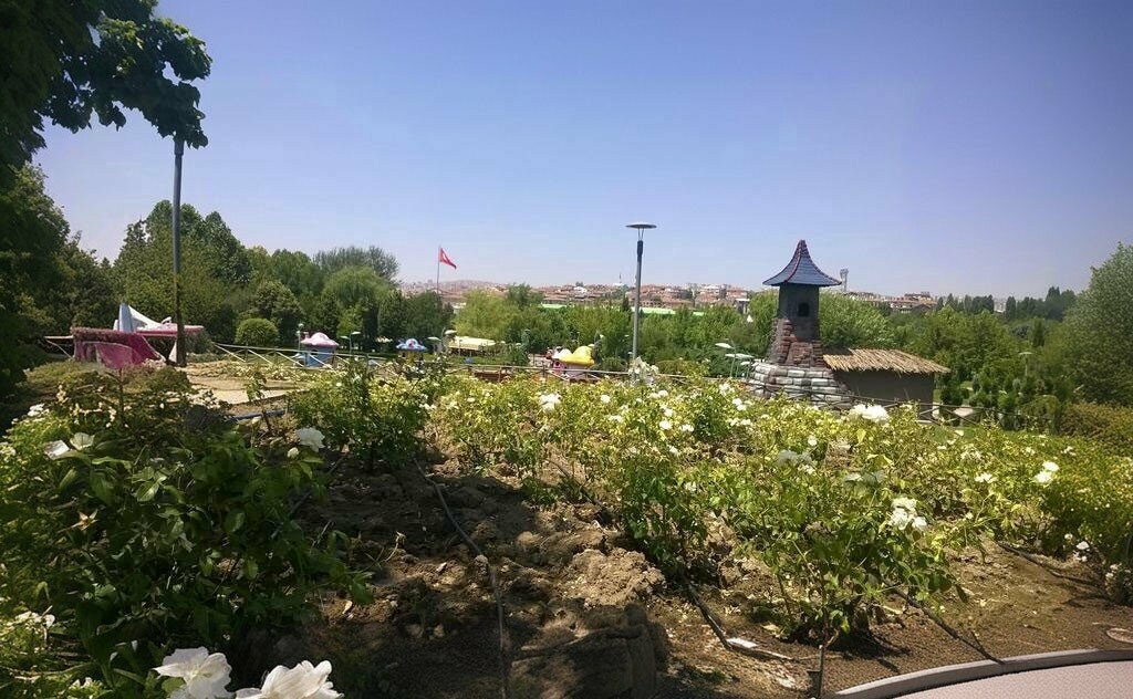 Kafe Beyaz Bahçe Kır Düğün Salonu, Ankara, foto