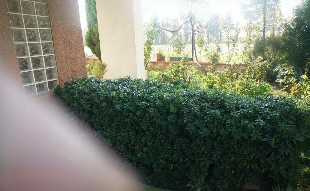 Kültür ve eğlence parkları Şehit Erol Uysal Parkı, Efeler, foto