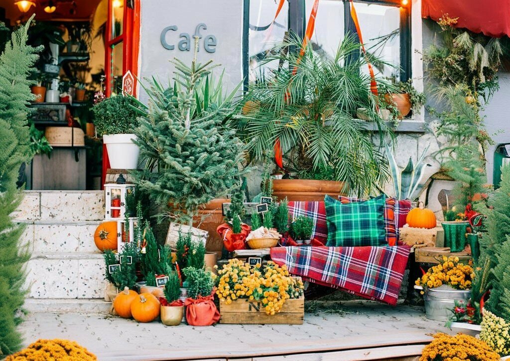 Kafe Plantsta Botanic & Cafe, Güzelbahçe, foto