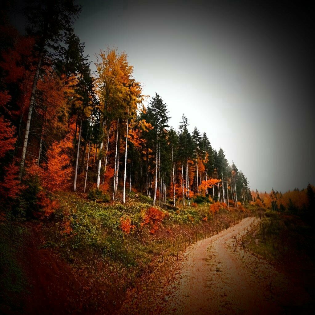 Muhtarlıklar Ören Köy Muhtarlığı, Bartın, foto