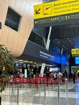 Стойки регистрации внутренних рейсов (Republic of Tatarstan, Laishevskiy District, Kazan Gabdulla Tukay Airport), resepsiyon  Tataristan'dan