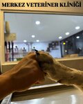 Merkez Veteriner Kliniği (Bolu, Bolu Merkez, Beşkavaklar Mah., Bayram Sok., 5), veteriner klinikleri  Bolu'dan