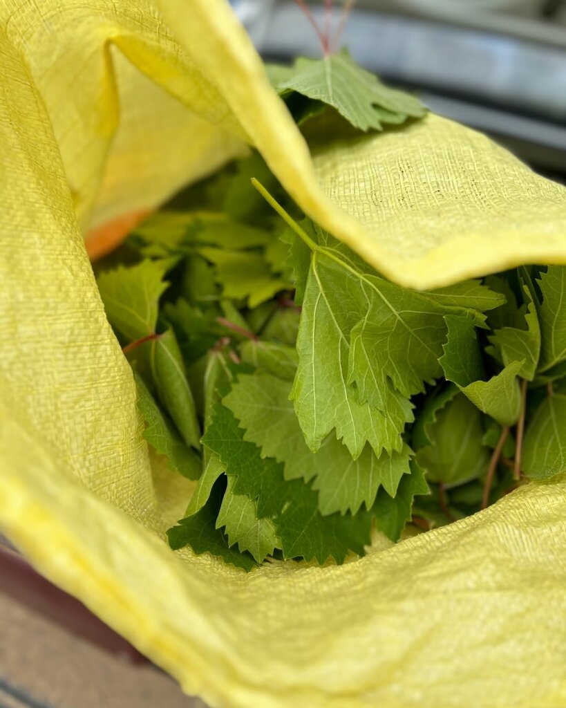Gıda üreticileri Meşhur Niksar Yaprağı, İstanbul, foto