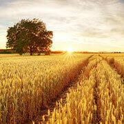 Oto lastik tamiri Öz İş Oto Lastik, Başiskele, foto