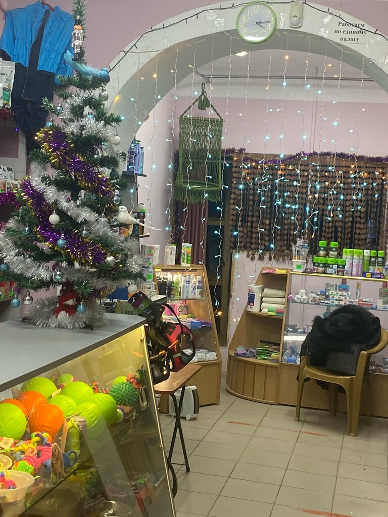 Petshop Белый Кот, Kırım Cumhuriyeti, foto