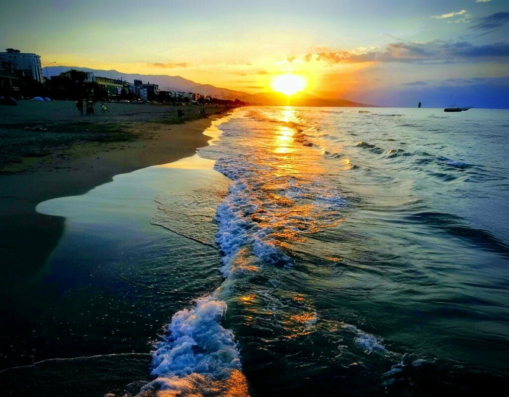Balık çiftçiliği ve toptancıları Atakum İskelesi, Samsun, foto