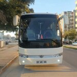 Pala Tur Taşımacılık (Adana, Ceyhan, Cevher Dudayev Sok.), kargo firmaları  Ceyhan'dan