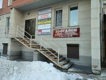 Dental technologies (Yeltsovskaya ulitsa No:2/3), diş sağlığı ekipmanları  Novosibirsk'ten