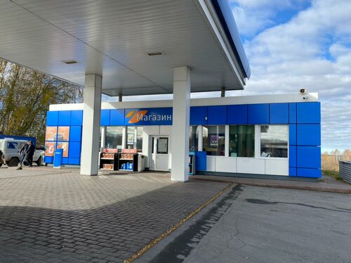 Benzin istasyonu Gazpromneft, Novosibirskaya oblastı, foto