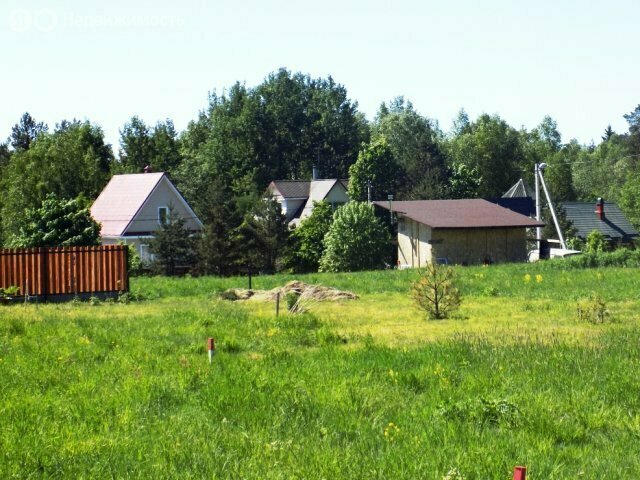 Yazlık yerleşim Терра, Saint‑Petersburg ve Leningradskaya oblastı, foto