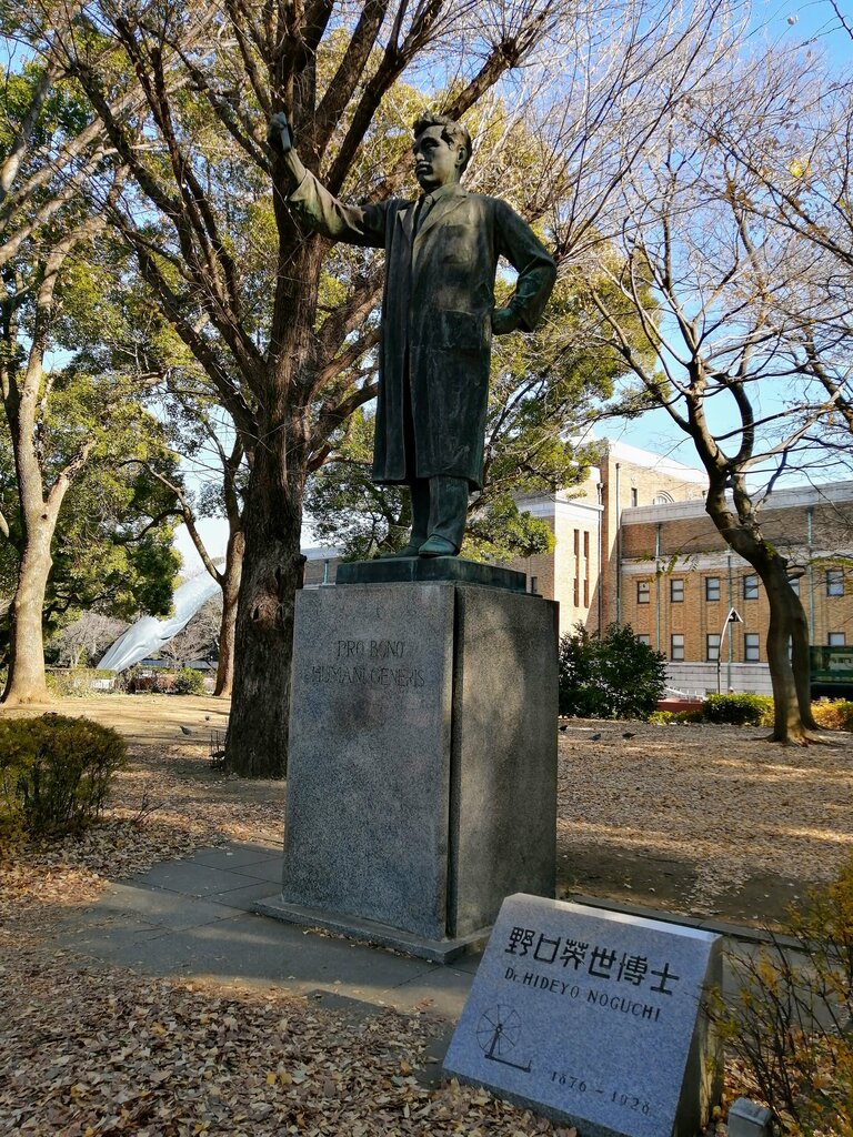 Anıt, heykel 野口英世像, Tokyo, foto