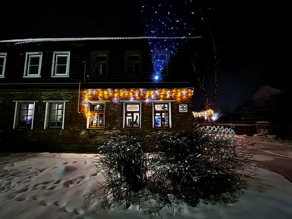 Park, sokak heykeli Переславские коты и коттавры, Pereslavl‑Zalesski, foto