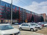 Bant (Sotsialisticheskiy Avenue No:109), kutlama ürünleri  Barnaul'dan