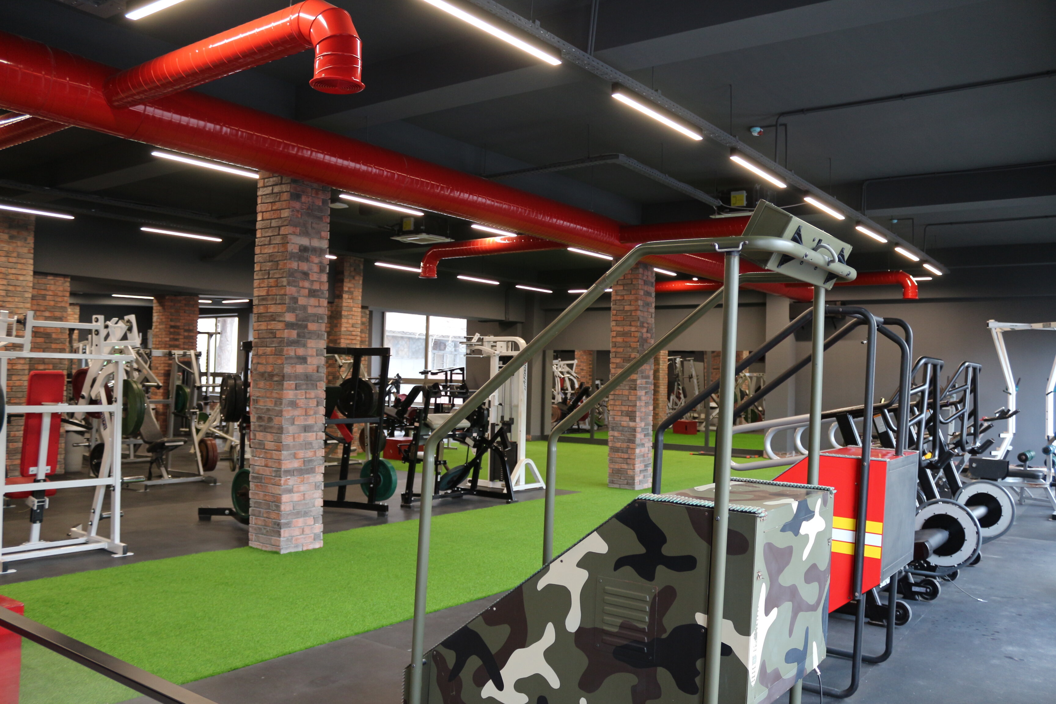 Alpha fitness store
