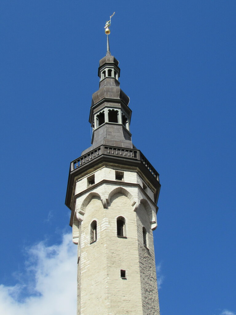 Turistik yerler Tallinn City Hall, Tallin, foto