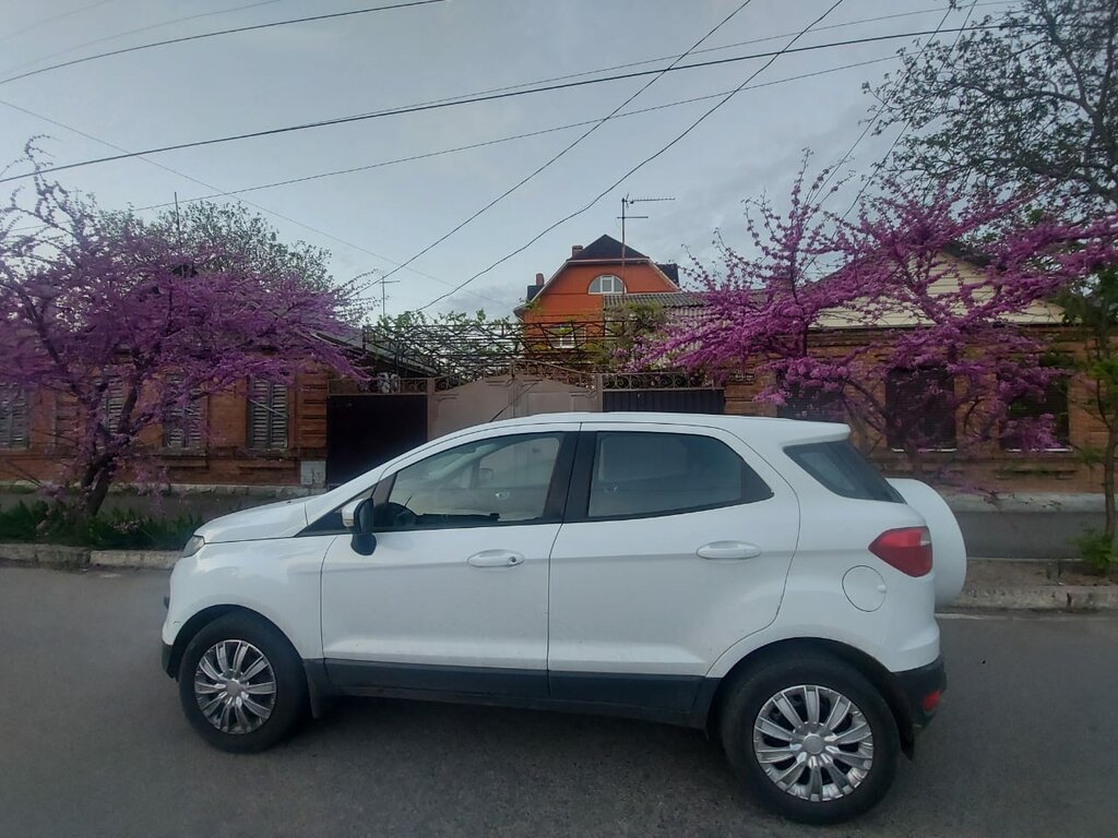 Oto kiralama AvtoGold, Yeysk, foto
