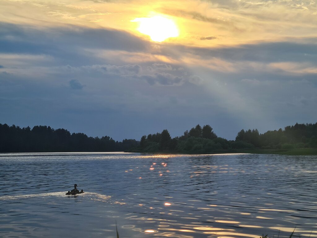 Plaj Угольная яма, Vologodskaya oblastı, foto