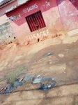 Sagres (Luanda Province, Municipality of Luanda, Lixeira), alkollü içecekler  Loanda'dan