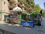Köşk (Atatürk prospekti No:501C), gazete bayi  Gence'den