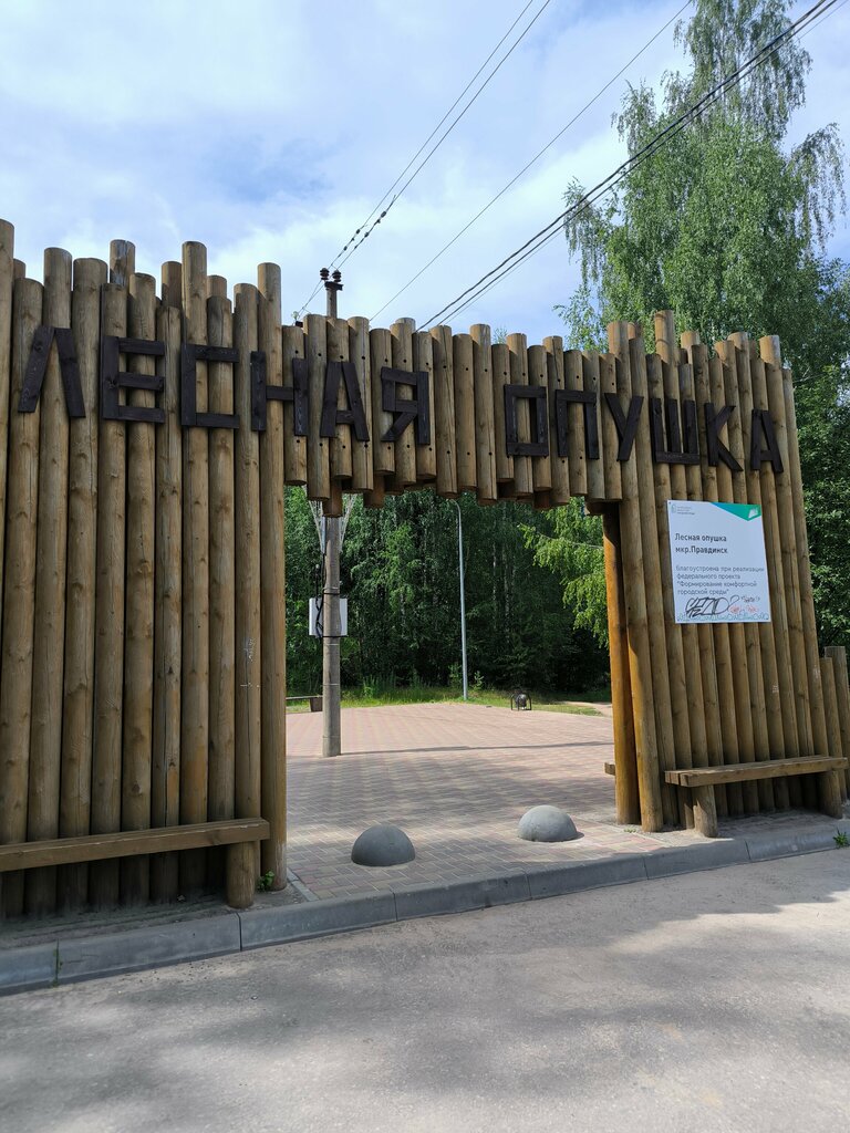 Orman Правдинский лес, Balahna, foto