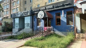 Dark Horse (No:59, Otyrar shaǵyn aýdany, Shymkent), berberler  Çimkent'ten (Şımkent'ten)