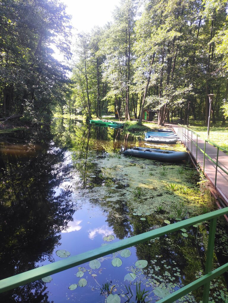 Plaj Пляж, Voronejskaya oblastı, foto