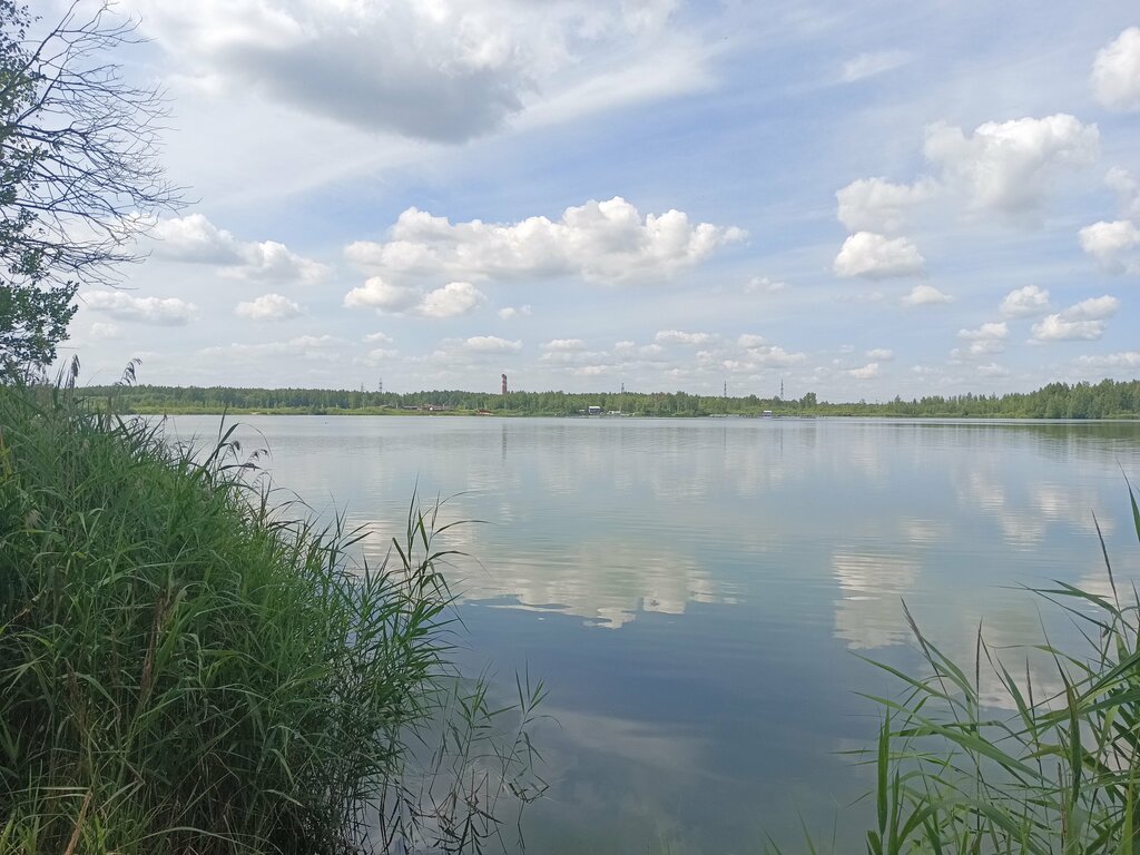 Plaj Пляж, Yaroslavskaya oblastı, foto