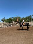 Hippodrome (Aragatsotn Region, Ashtarak), hipodromlar  Aştarak'tan
