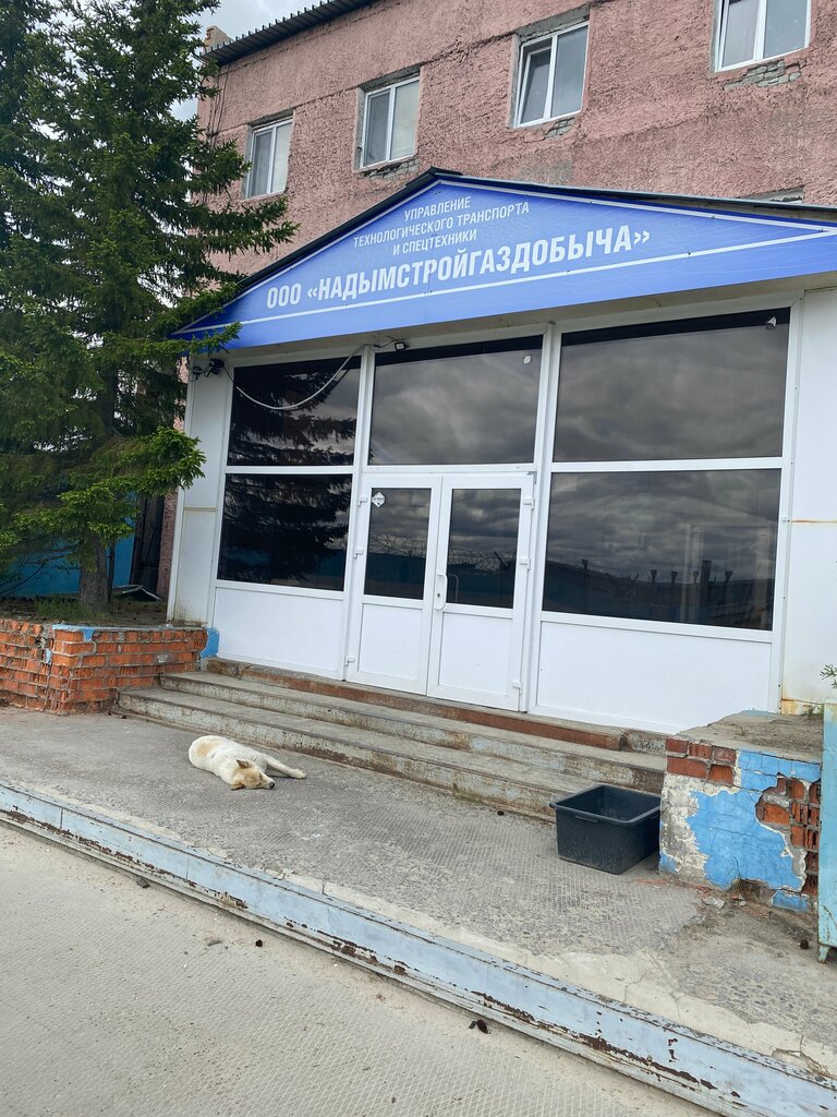 Otel Полярная Звезда, Yamal‑Nenets Özerk Bölgesi, foto