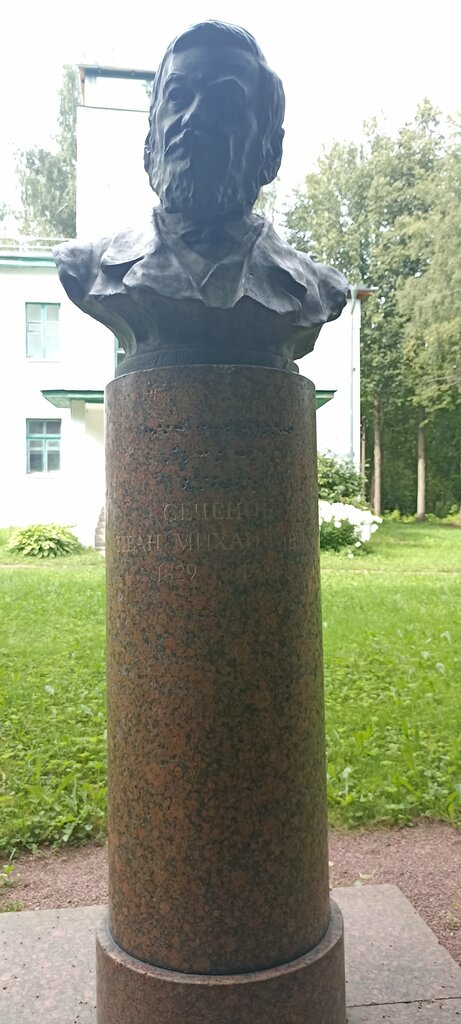 Anıt, heykel И.М. Сеченов, Saint‑Petersburg ve Leningradskaya oblastı, foto