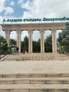 Arboretum (Shymkent, Al-Farabi District), müzeler ve sanat galerileri  Çimkent'ten (Şımkent'ten)