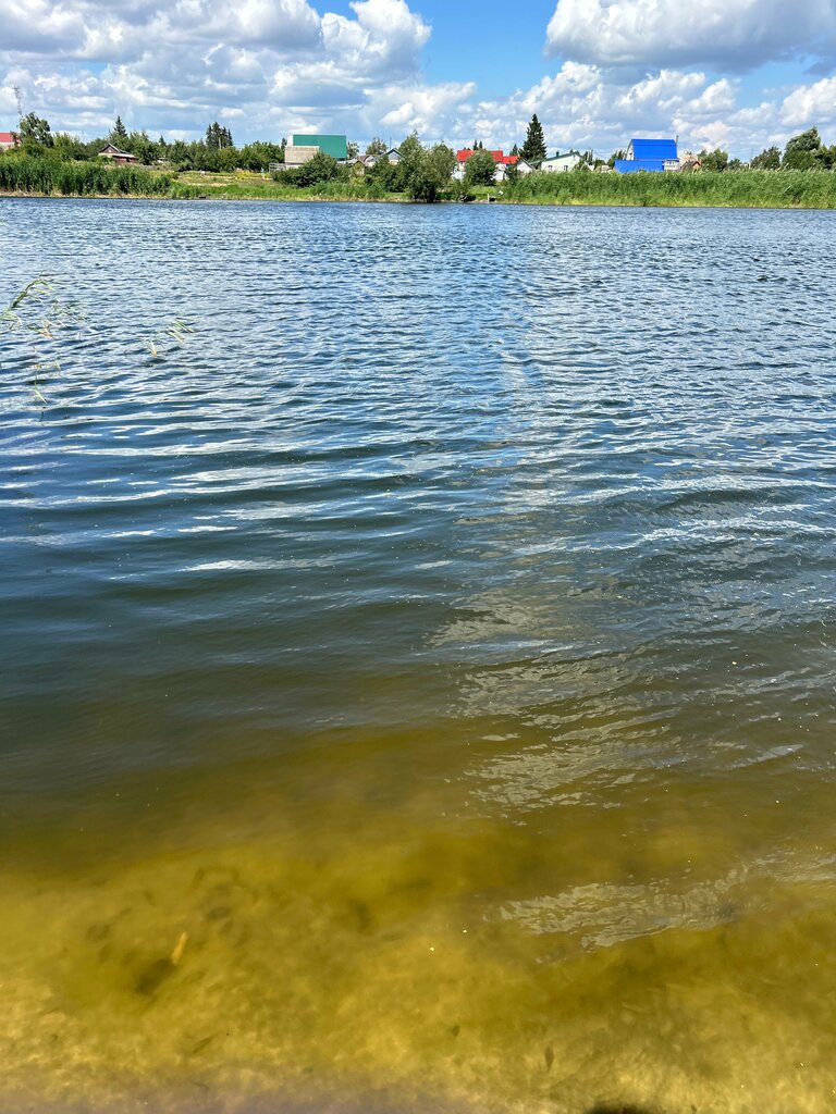 Plaj Токаревский, Tambovskaya oblastı, foto