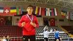 Şehit Muhammet Fatih Safitürk Anadolu Lisesi (Hanlıköy Mah., Sanayi Cad., No:62, Arifiye, Sakarya), lise  Arifiye'den