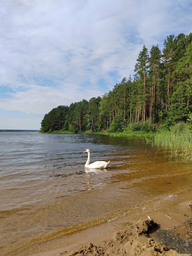 Plaj Пляж, Minskaya oblastı, foto