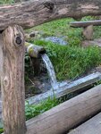 Spring, stream (Kaluga Region, Borovskiy District, pamyatnik prirody Poyma reki Protva), pınar, çay  Yermolino'dan