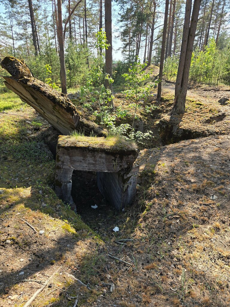 Turistik yerler Укрепрайон Тайпале, Saint‑Petersburg ve Leningradskaya oblastı, foto