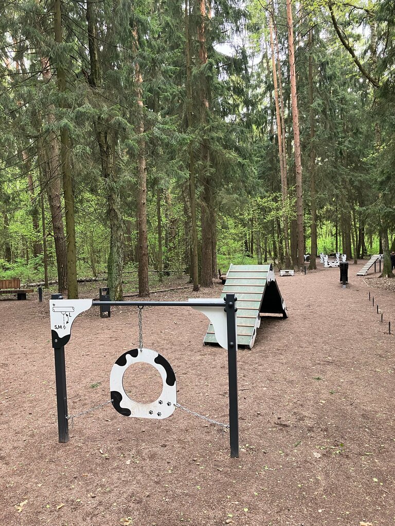 Köpek gezdirme alanları Dog park, Moskova, foto