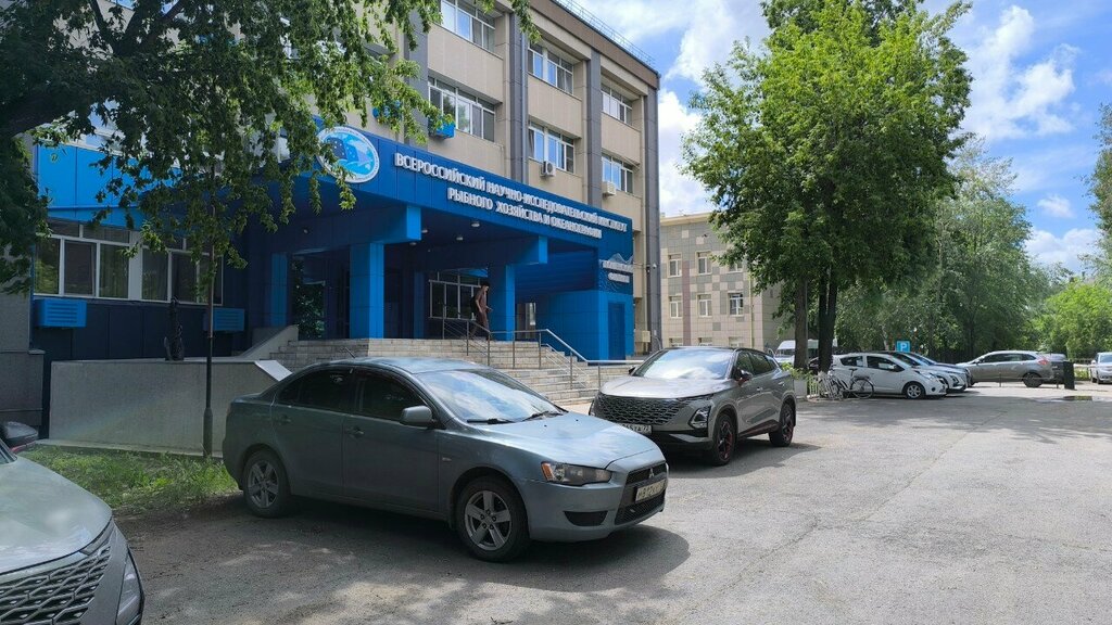 Çocuk gelişim merkezleri Дельфин, Tiumen, foto