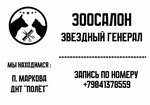 Стрижка собак и кошек (No:2/130, rabochiy posyolok Markova, DNT Polyot), evcil hayvan kuaförleri  İrkutskaya oblastından