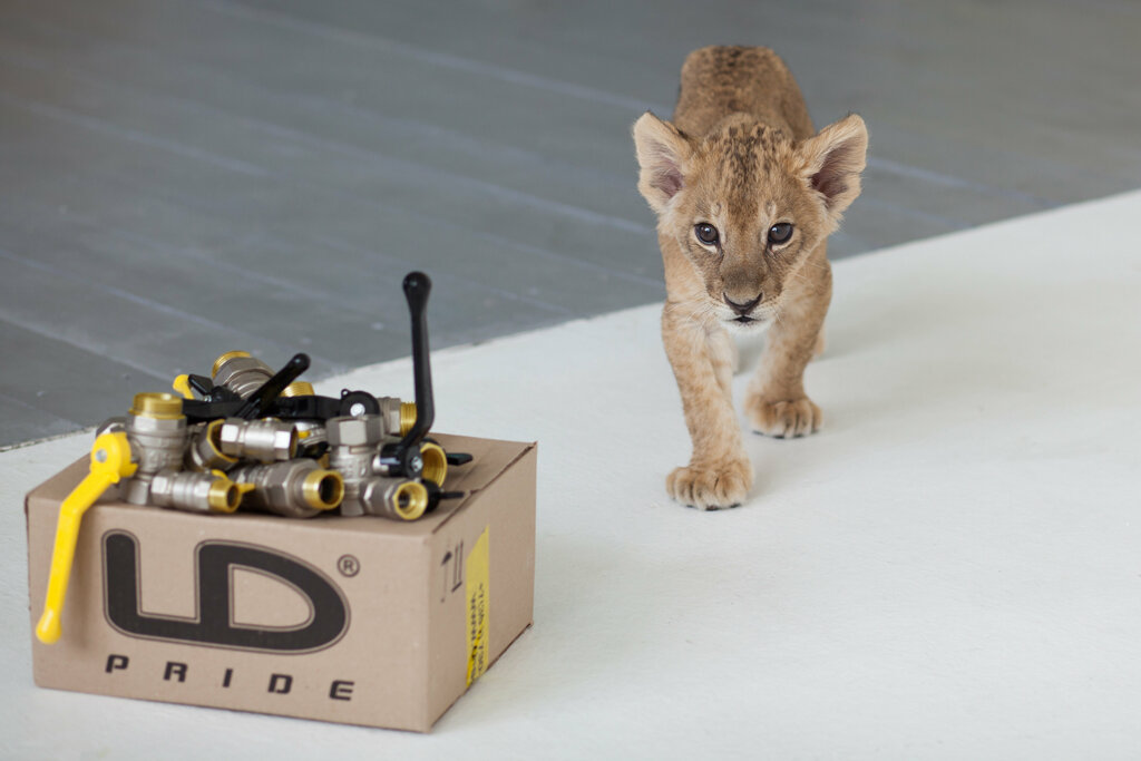 Boru tesisatı ve aksesuarları ЛД, Novosibirsk, foto