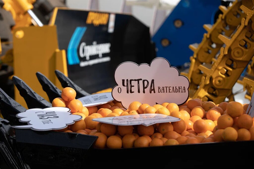 Etkinlik organizasyonu Event-v, Novokuznetsk, foto