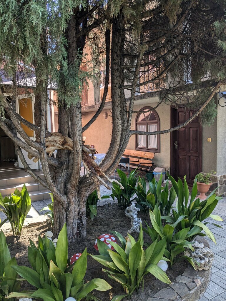 Otel U Iriny, Kırım Cumhuriyeti, foto