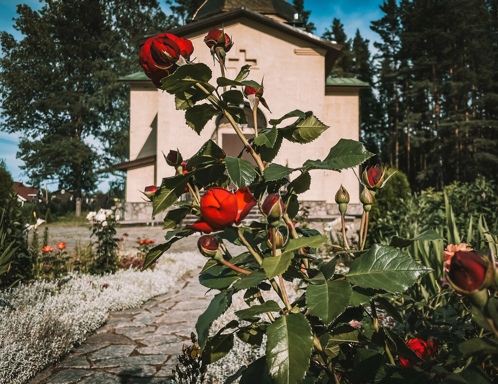 Ortodoks kiliseleri Church of St. Nicholas the Wonderworker in Petrovsky, Saint‑Petersburg ve Leningradskaya oblastı, foto