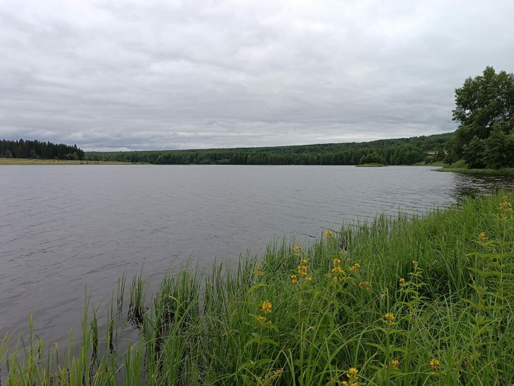 Plaj Пляж, Sverdlovskaya oblastı, foto